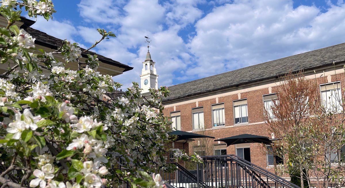 Admission Process | Tower Hill School